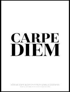 Carpe Diem poster — Plakatbar.no