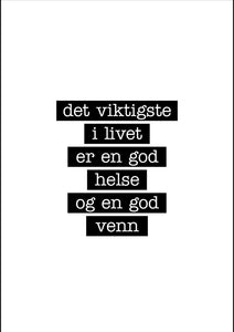 Det viktigste i Livet er en god helse og en god venn - Flott Plakat ...