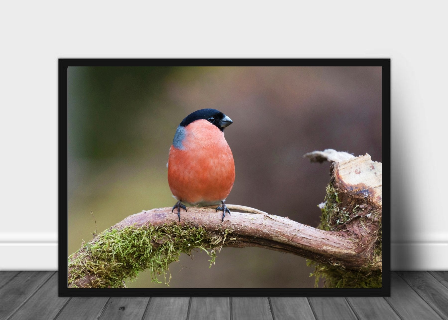 Dompap poster – Plakatbar.no