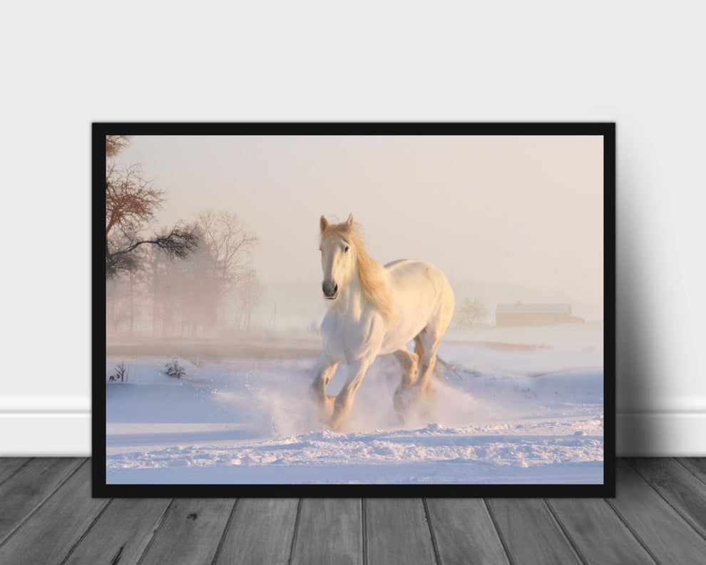 Hvit hest i snøen poster