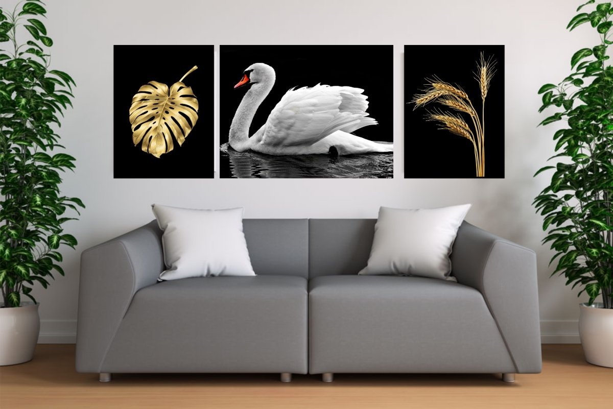 Svane med sort bakgrunn – Plakatbar.no